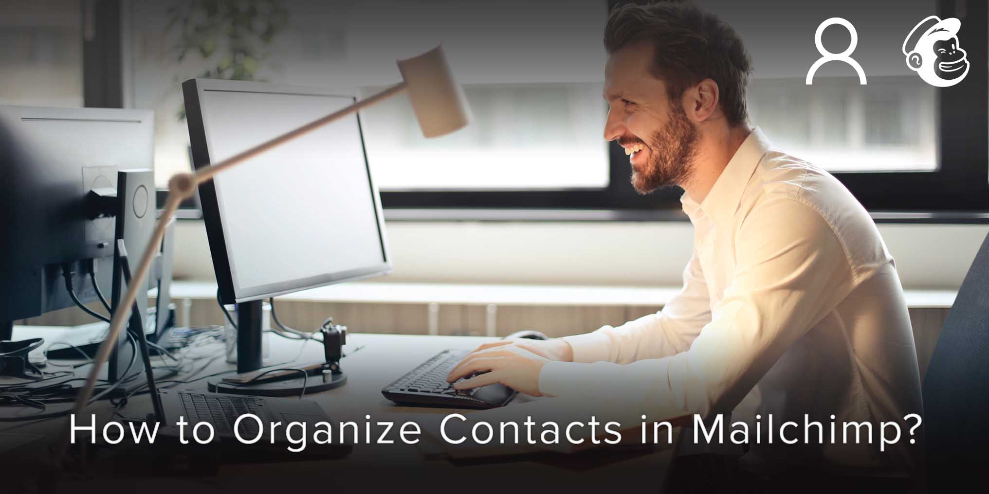 How to Organize Contacts in Mailchimp? | Covve