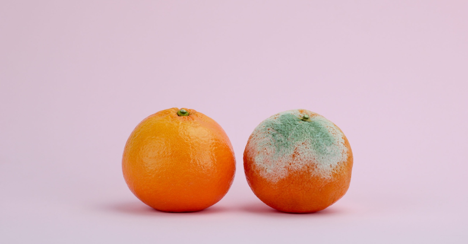 The Big Bad Monster or Your Savior? | Covve