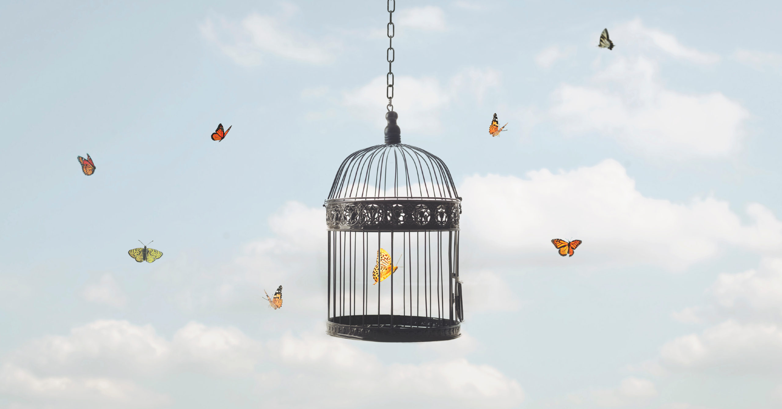 The Missed Opportunity Trap | Covve