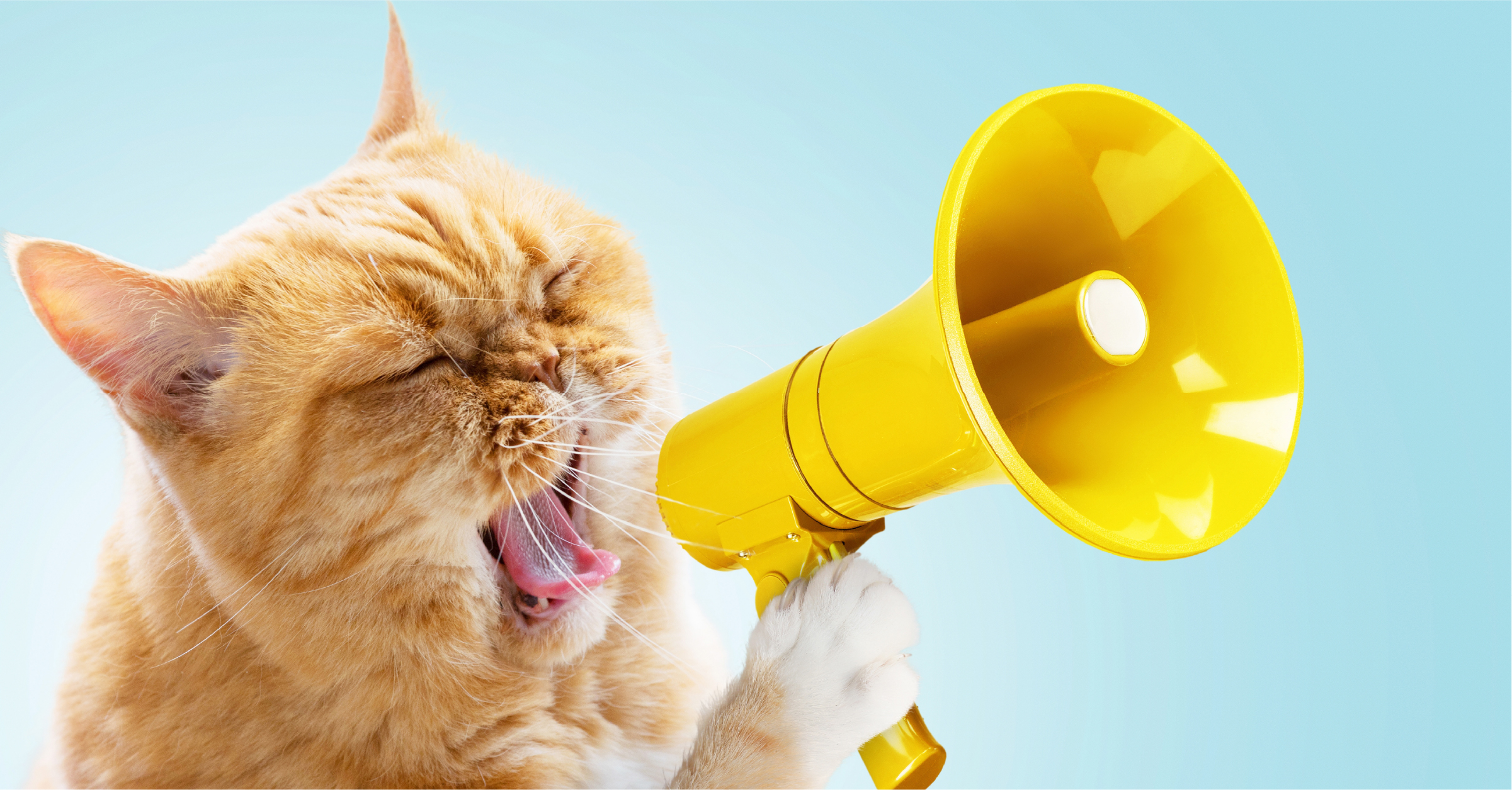 Is Your Stress Louder Than Your Voice in Professional Environments? | Covve